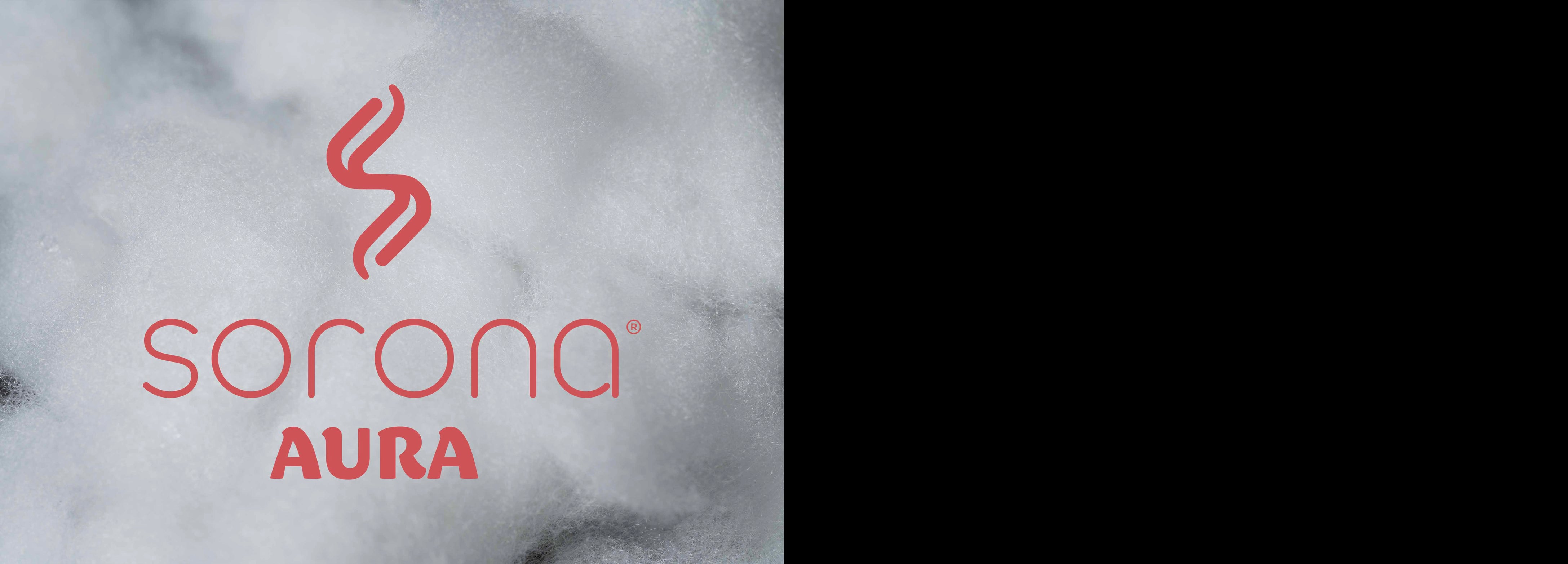 Sorona®AURAファイバーダウン – TS DESIGN